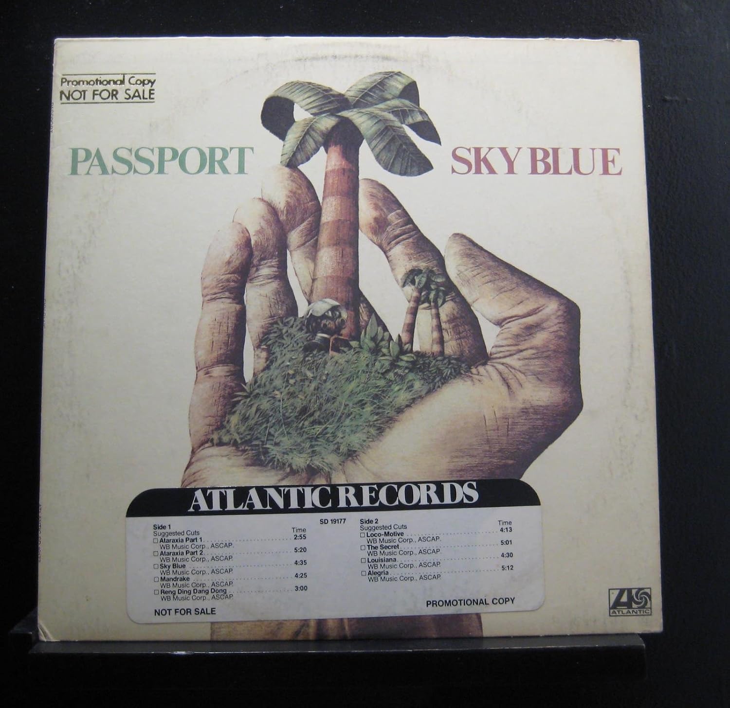 Sky Blue [Vinyl LP]: Amazon.co.uk: CDs & Vinyl
