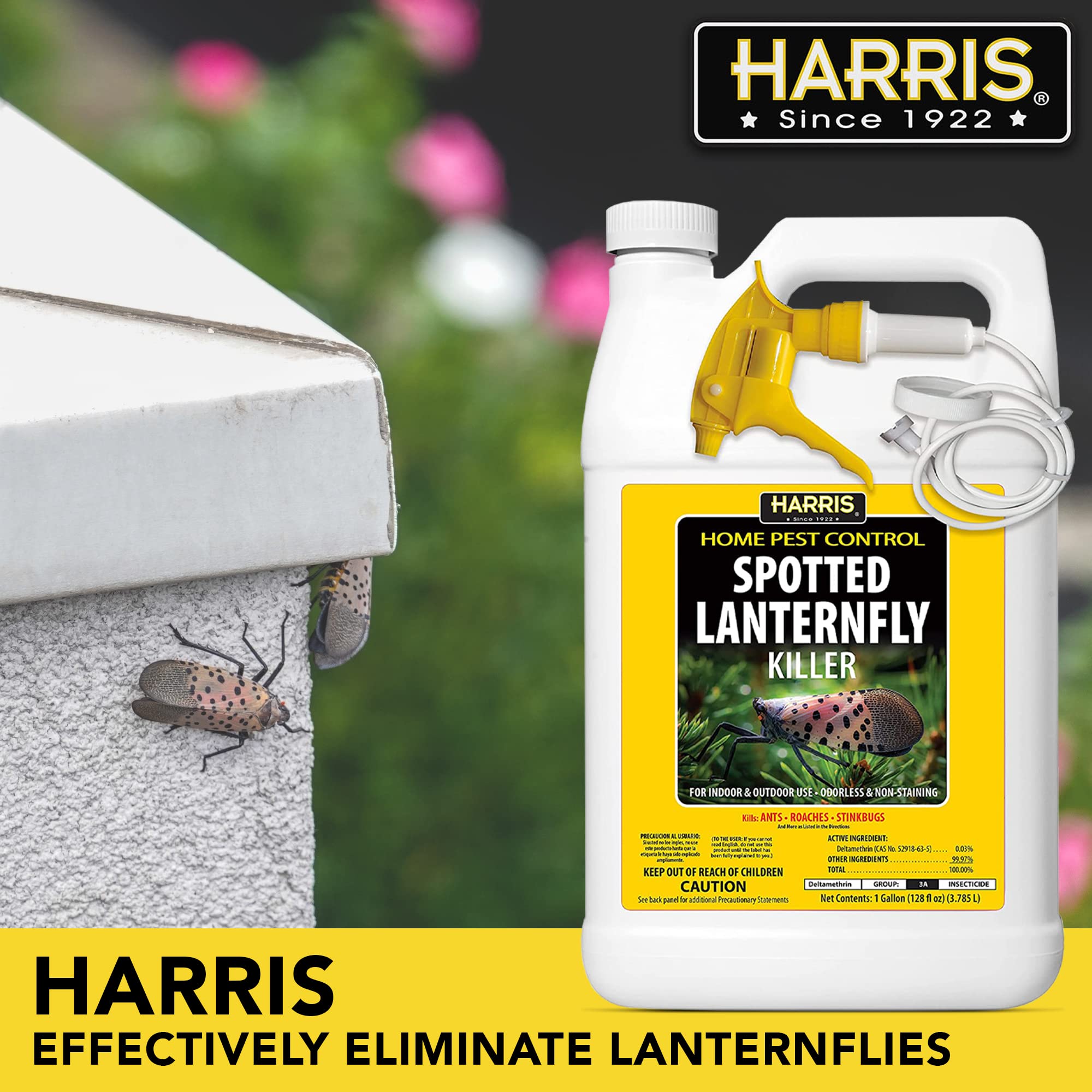 Mua Harris Spotted Lantern Fly Killer, Odorless and Non Staining Ready ...