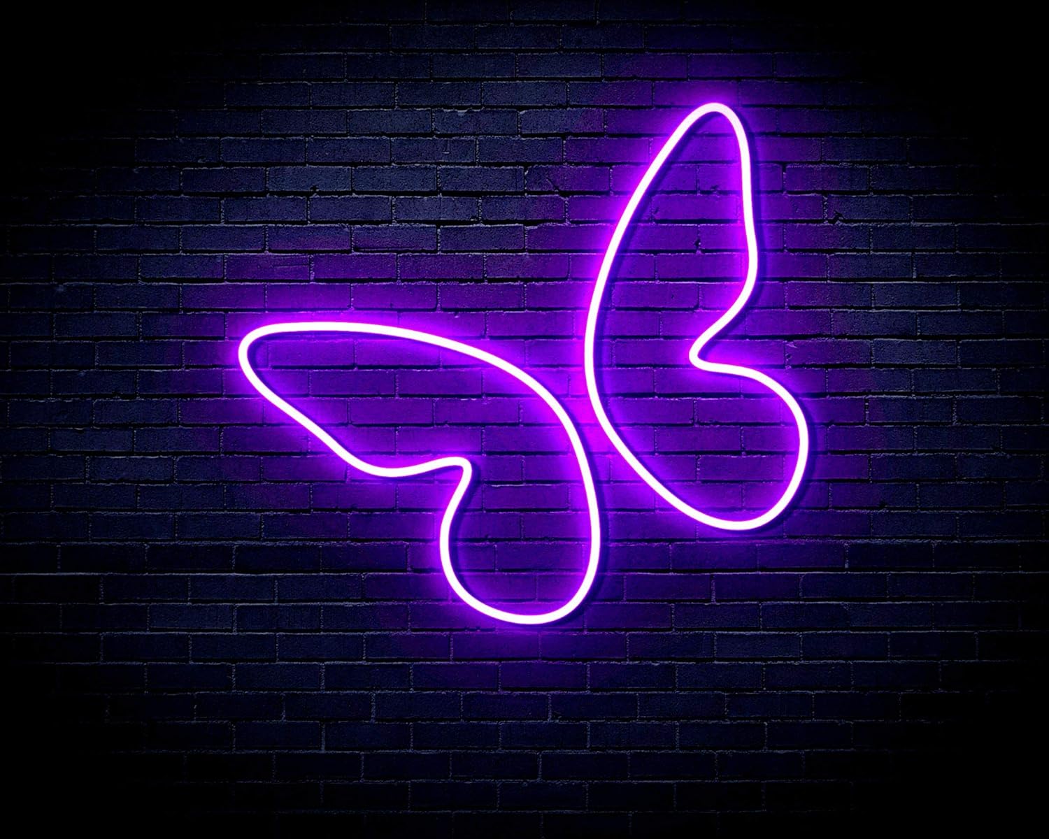 Amazon.com: ADVPRO Butterfly Girl Room Flex Silicone LED Neon Sign ...