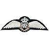 Reproduction British WW2 Royal Air Force RAF PILOTS WINGS Padded ...