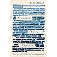 Meander, Spiral, Explode: Design and Pattern in Narrative: Alison, Jane ...