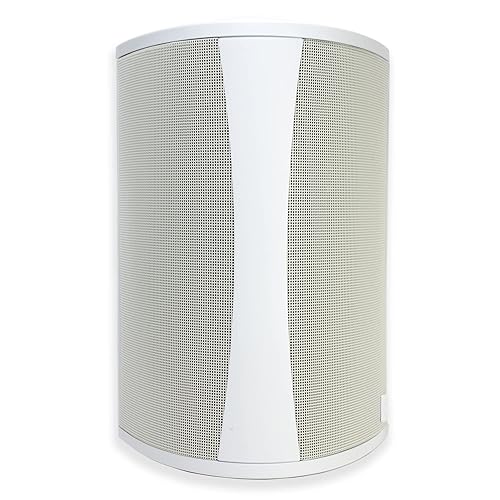 Definitive Technology AW5500 Outdoor Speaker - 5.25-inch Woofer, 175 ...