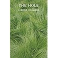 Amazon.com: The Hole: 9780811228879: Oyamada, Hiroko, Boyd, David: Books