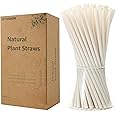 Amazon.com: Biodegradable Straws made of Natural Plant | 200 PCS 7.8 ...