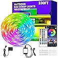 Amazon.com: vimeepro 100ft Outdoor LED Strip Lights Waterproof,IP68 ...