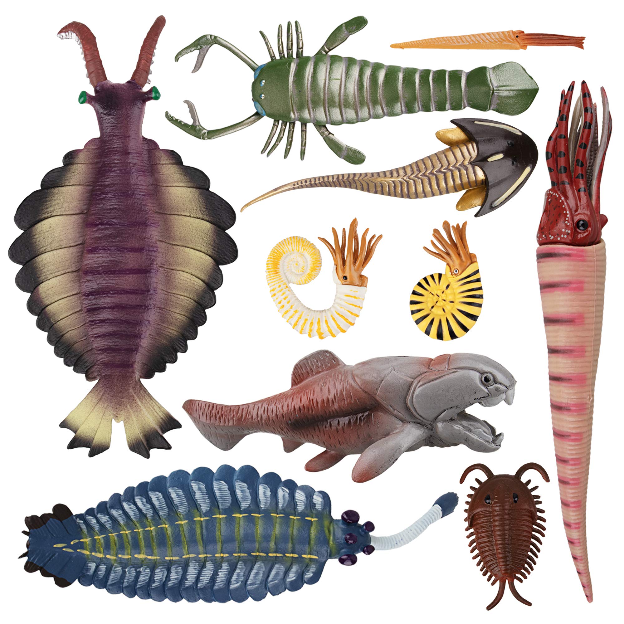 Mua Toymany 10PCS Ancient Marine Creatures, Cambrian Sea Animal ...