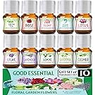 Amazon.com : Fragrance Oils Set of 6 Scented Oils from Good Essential - Amber Oil, Coffee Oil ...