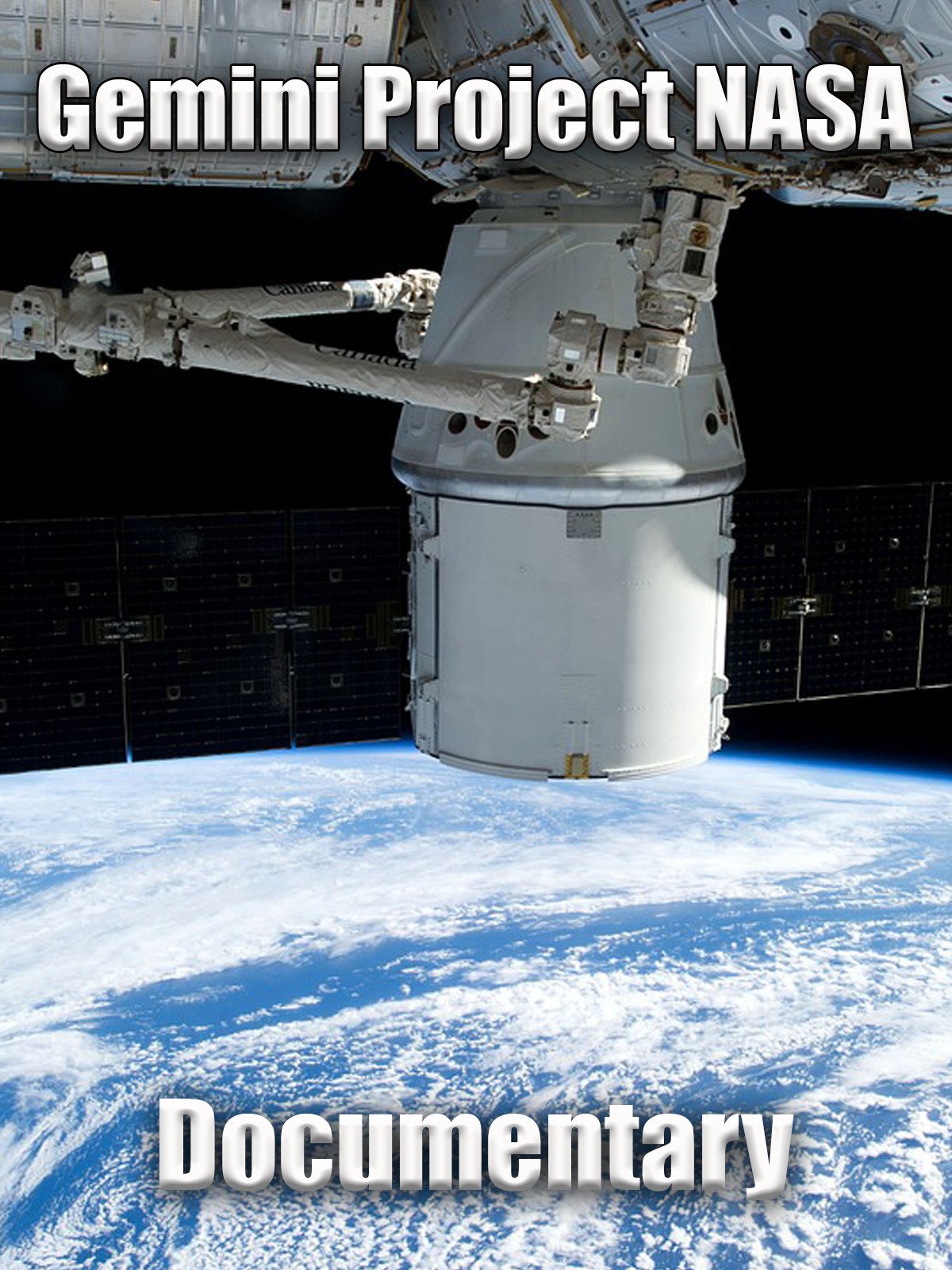 Project Gemini Space