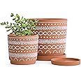 Amazon.com : D'vine Dev Set of 2 Terracotta Pots, 4 Inch & 6 Inch ...
