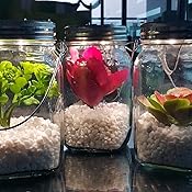 Consol Solar Jar - Solar-powered LED garden, table light: Amazon.co.uk ...