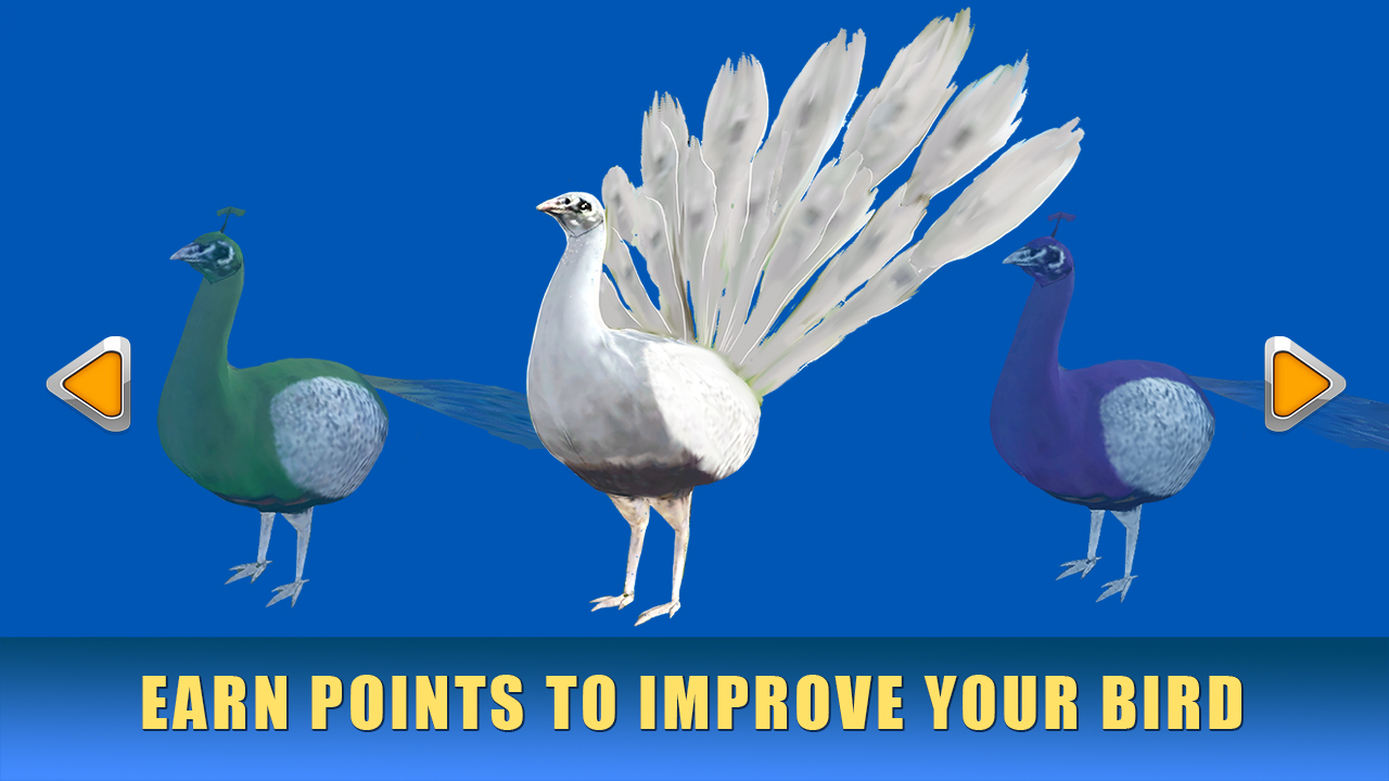 Peacock Life Simulator 3D: Bird Survival Game | Peafowl Animal Fighting ...