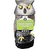 Amazon.com: Ugold Solar Powered Owl with Detection, Silent Mode ...
