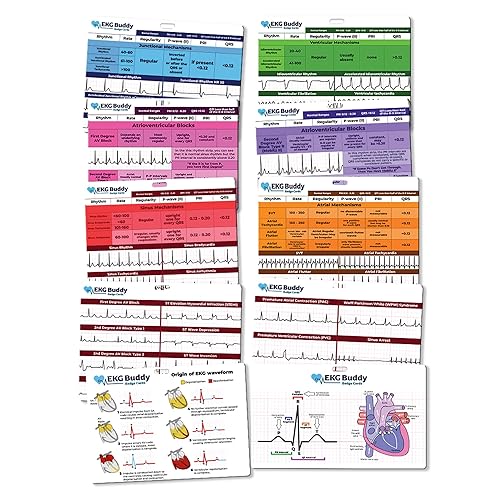EKG Buddy's 5 Card EKG Interpretation Badge Set - Doubled Sided Nurse ...