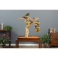 Amazon.com : Prevue Pet Products Coffeawood Java Tree Minis Large Table ...