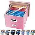 Amazon.com: PRANDOM File Organizer Box - Set of 1 Collapsible ...