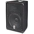Amazon.com: Yamaha BR12 12-Inch 2-Way Loudspeaker System : Musical Instruments