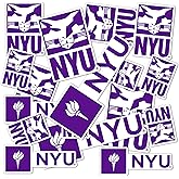 Amazon.com: Desert Cactus New York University Sticker NYU Sticker ...