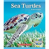 The Life Cycle of a Sea Turtle (Nature's Life Cycles): Kingston, Anna ...