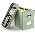 Amazon.com: Oterri File Organizer Box with Lid, Hanging Filing File Box ...