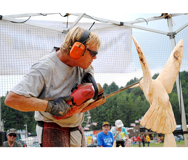 Chainsaw Manual for Homeowners, Revised Edition: Learn to Safely Use ...