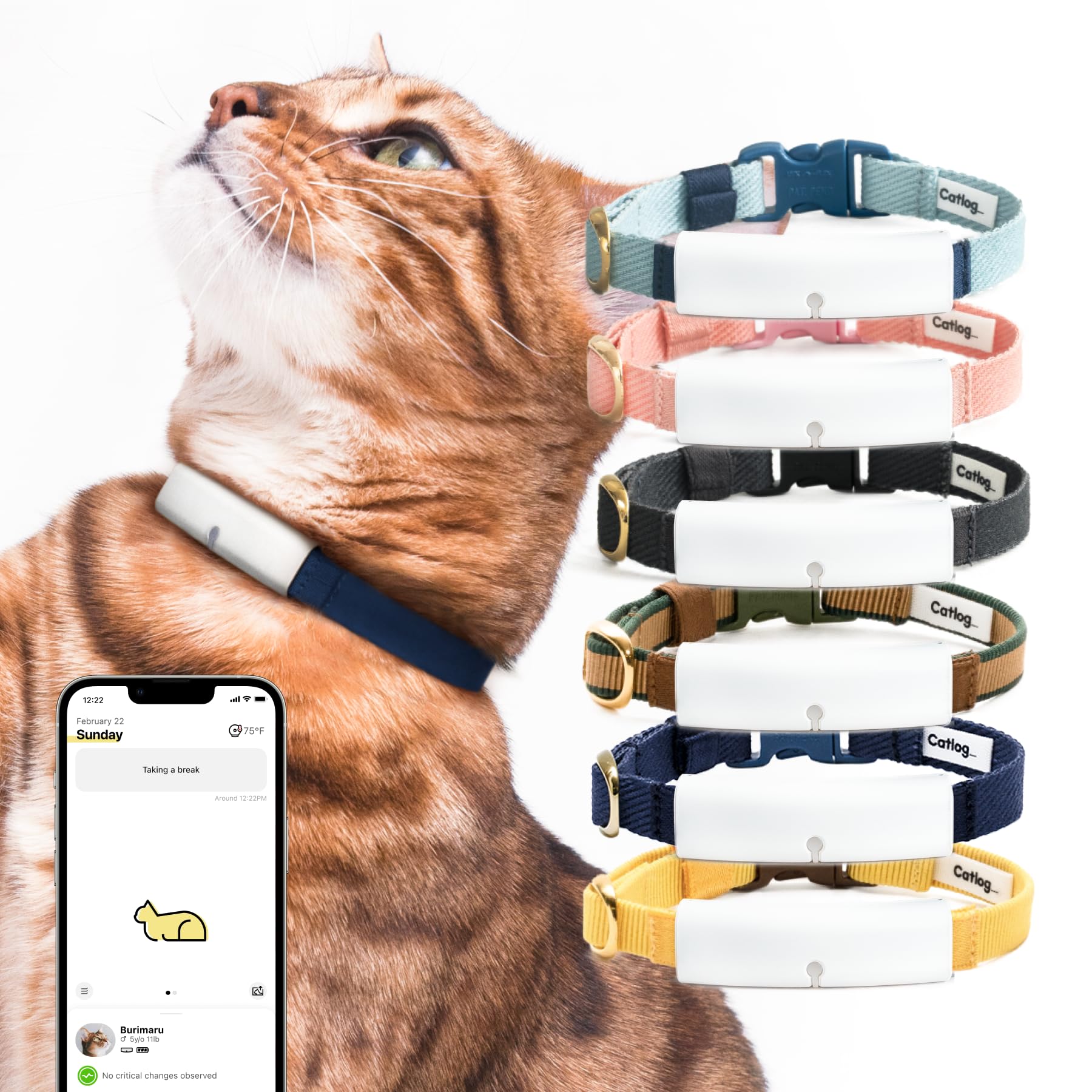 Catlog Health Tracker for Cats - Smart Cat Collar with Safety Breakaway Buckle for Indoor Cats ...