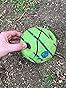 Wobble Wag Giggle WG071104 Ball, Interactive Dog Toy, Fun Giggle Sounds ...