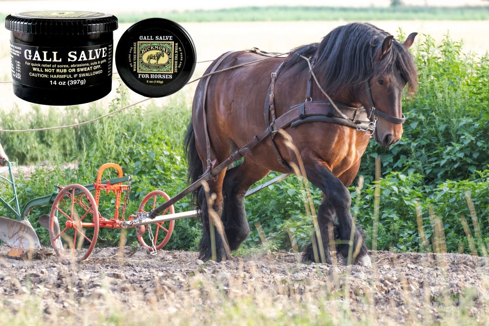 Mua Bickmore Gall Salve Wound Cream For Horses 14oz - Quick Equine ...