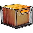 Amazon.com: SETTFRFE Office Supplies Paper Organizer,Metal File Holder ...