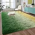 Amazon.com: DweIke Shag Area Rug, 5x8 Ft Gradient Grass Green Rug Indoor Ultra Soft Plush ...