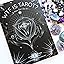 WTF is Tarot?: ...& How Do I Do It?: Bakara Wintner: 9781624144523 ...