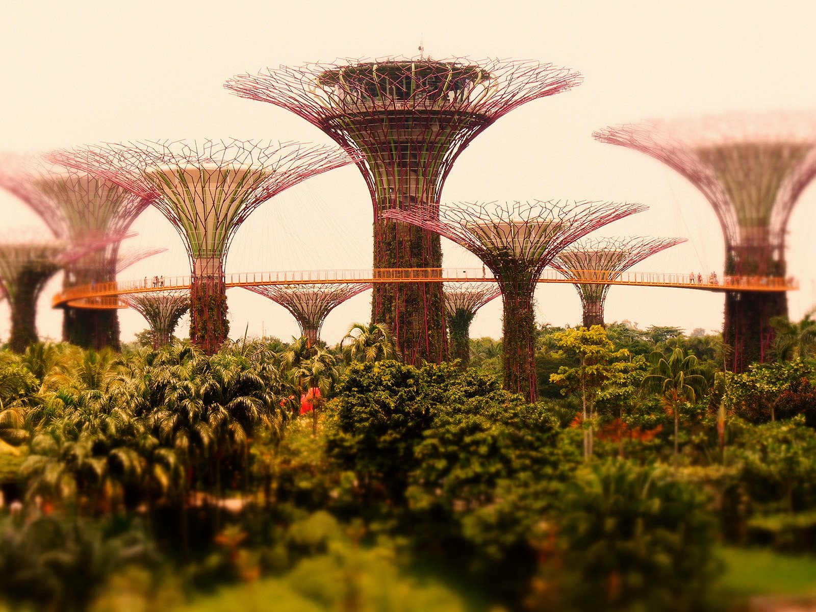 Watch Little Big World | Prime Video