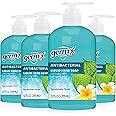 Amazon.com : Germ-x Antibacterial Hand Soap, Moisturizing Liquid Hand ...