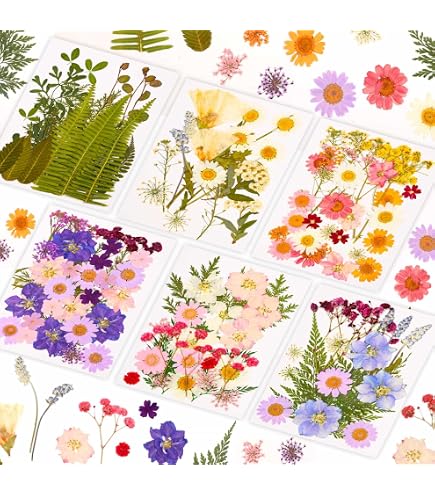 Epoxy Resin Kit Kettion 68 Pcs Dried Pressed Flowers Kit - Natural ...