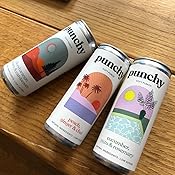 Punchy Drinks - Variety Pack, Mixed Case, Premium Adult Soft Drinks ...