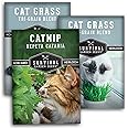 Amazon.com : Survival Garden Seeds Cat Collection Seed Vault - Non-GMO ...