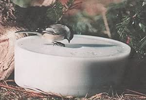 Amazon.com : Happy-Bird Super Solar Sipper : Bird House Accessories ...