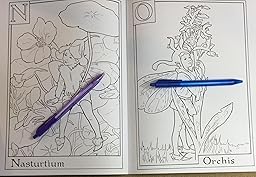 Amazon.com: Flower Fairies Alphabet Coloring Book (9780723264965 ...