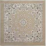 Amazon.com: Large 100% Cotton Square Burst Paisley Bandanas (22 inch x ...