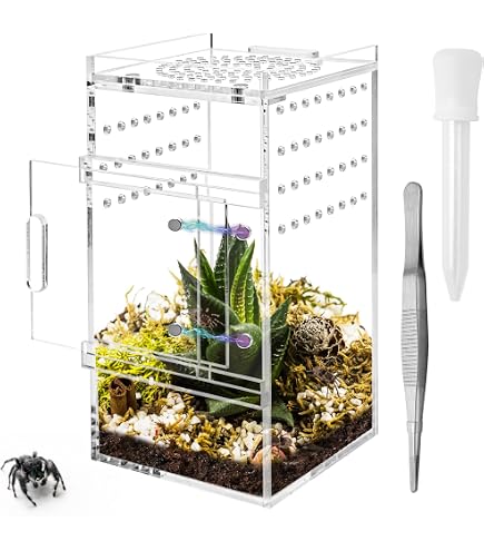 Arboreal Tarantula Enclosure Wholesale Lugarti Tarantula Enclosure
