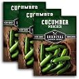 Amazon.com : 3 Packs Muncher Cucumber Seed for Planting - Packet with ...