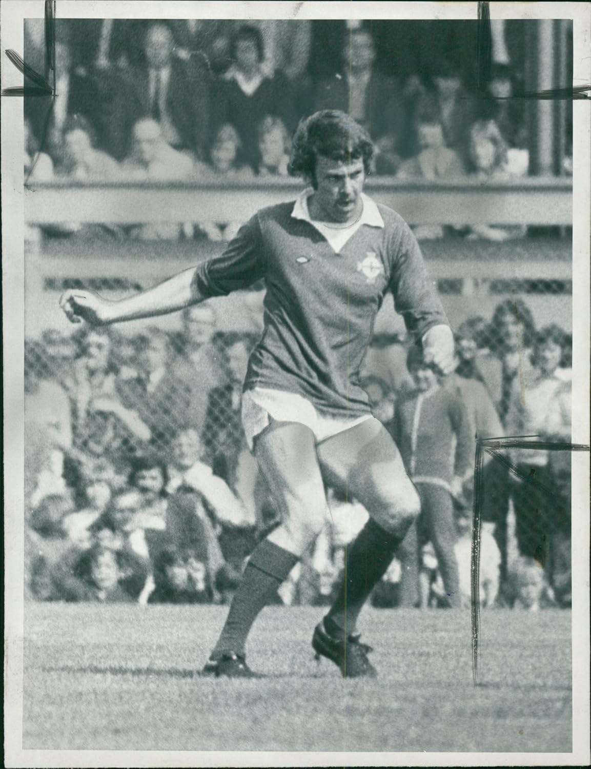 Amazon.com: Vintage photo of Allan Hunter: Entertainment Collectibles