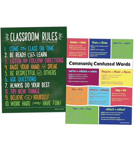 Classroom Posters ZOCO Commonly Confused Words Posters - 2-Pack ...