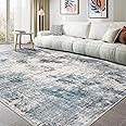 Amazon.com: TARANCH Washable Rug 8x10 Area Rugs: Modern Abstract ...
