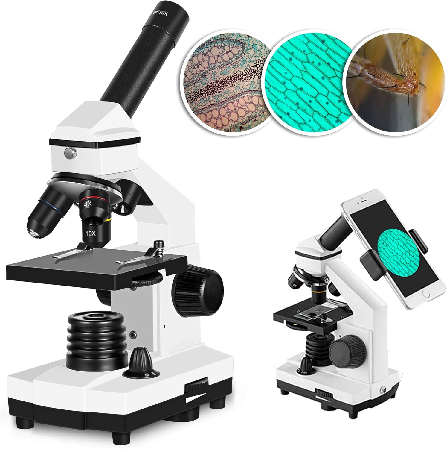 Solomark Microscope,40x – 640x Professional Monocular Biological ...