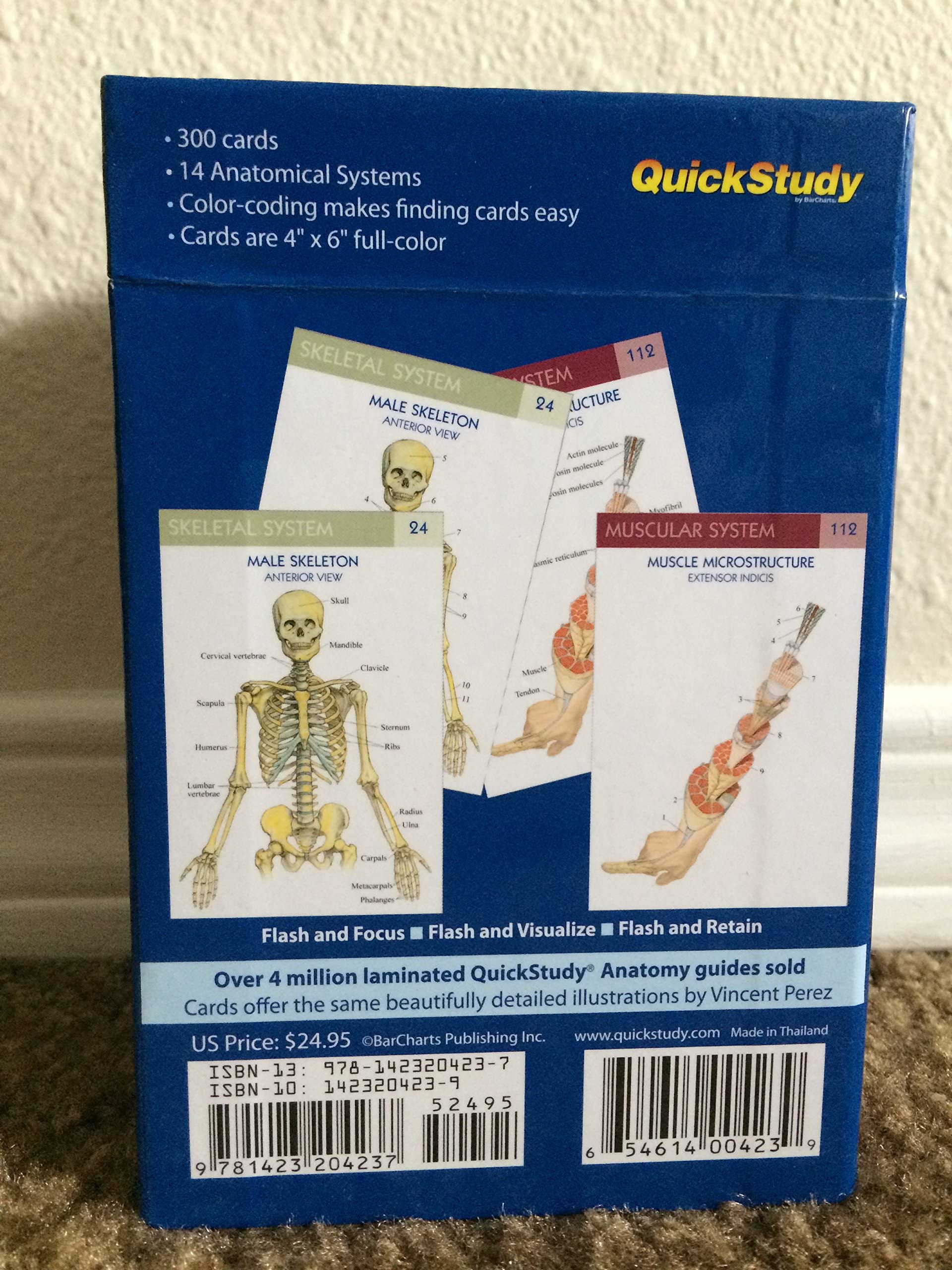 Mua Anatomy Flash Cards: a QuickStudy reference tool Anatomy Flash ...