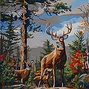 Amazon.com: Delta Creative Plaid Paint by Number Kit, Standing Proud ...