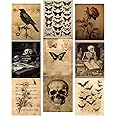 Amazon.com: Gothic Home Decor Insire Dark Academia Wall Art Dark ...
