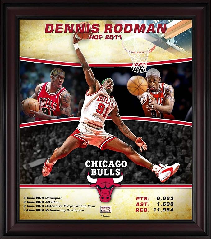 Dennis Rodman Chicago Bulls Framed 15" x 17" Hardwood Classics Player ...