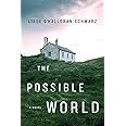 The Possible World: A Novel: Schwarz, Liese O'Halloran: 9781501166143 ...
