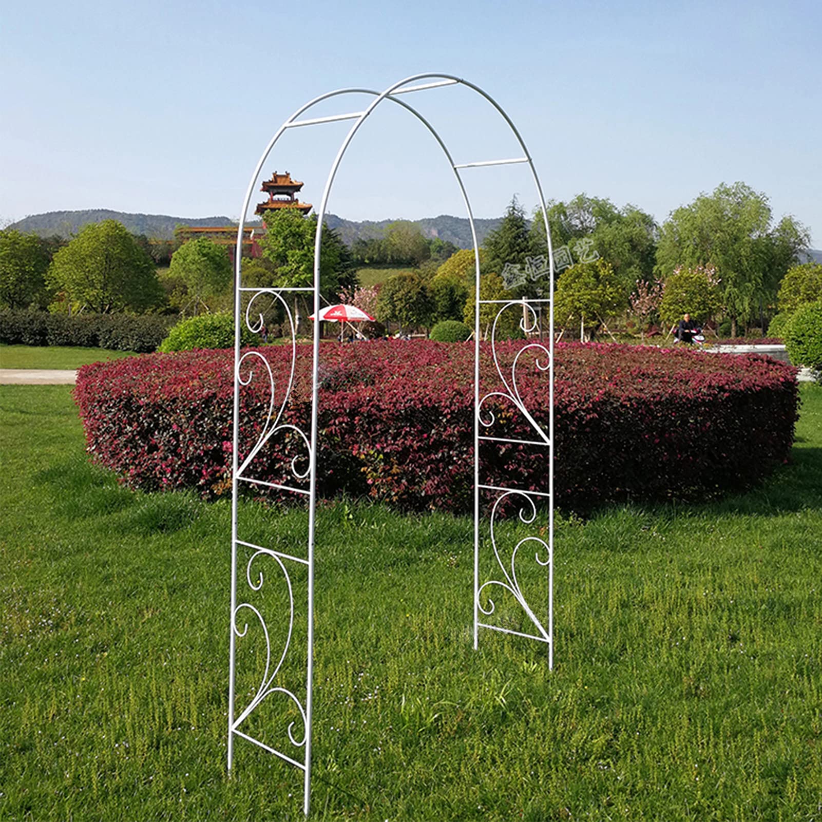 Daoyuan Metal Garden Arch Arbors Pergola Rose Arch With Graceful | Desertcart Aruba